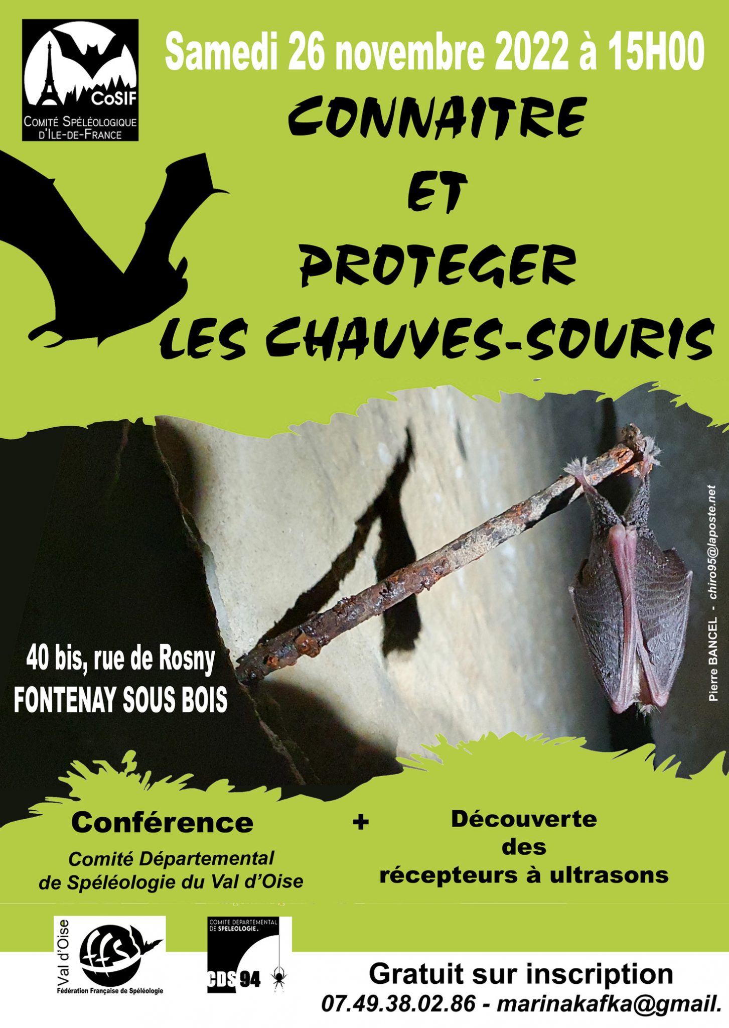Connaitre et protéger les chauves-souris – CoSIF .fr